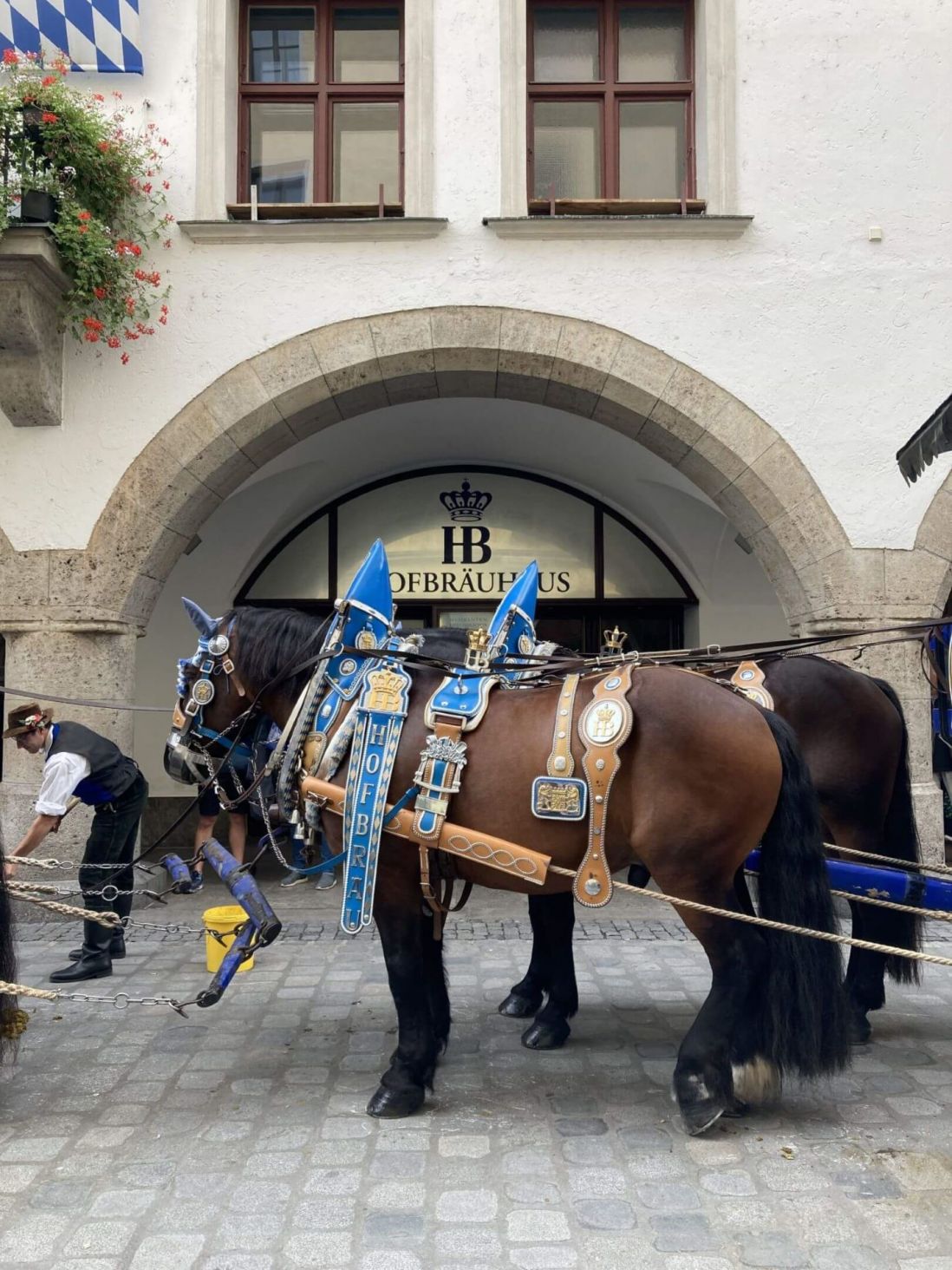 Servus Bavaria Tours - Stadtführungen in München